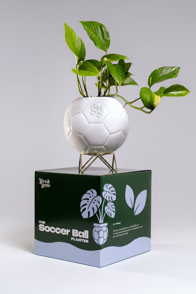 The Give and Grow | Sport Planters | Community | Toronto